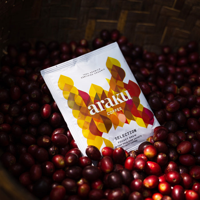 Pour Over Pocket Brew - Selection