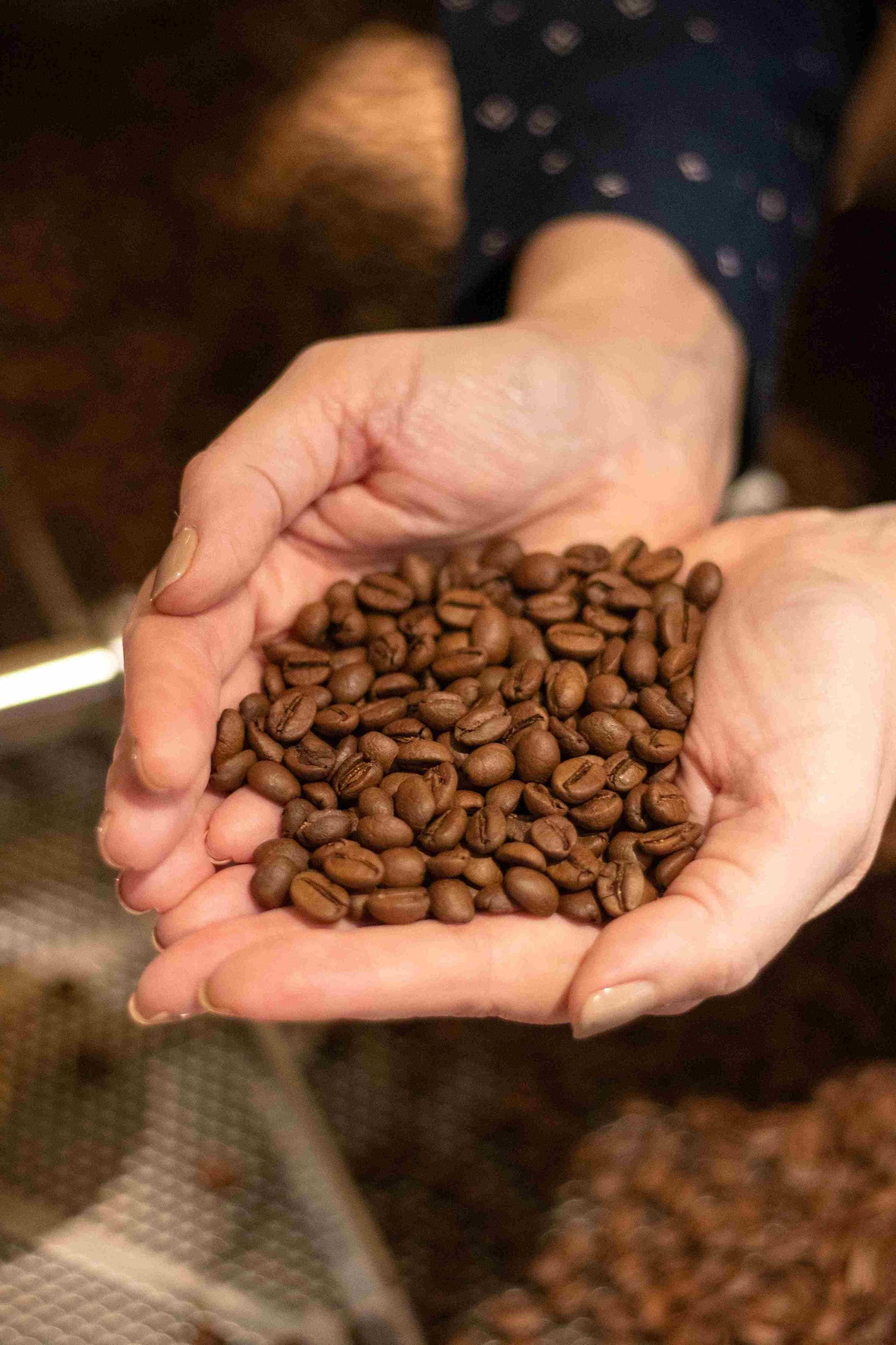 SCA Coffee Skills Program: Introduction to Coffee